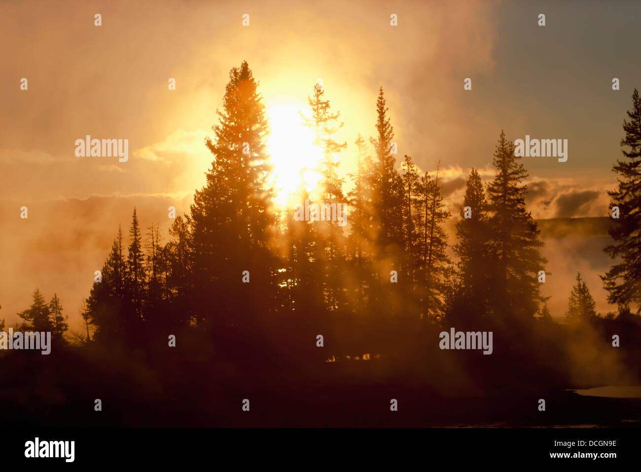 Rising Sun Shines Through Steam From Hot Springs, With Conifer Trees In ...