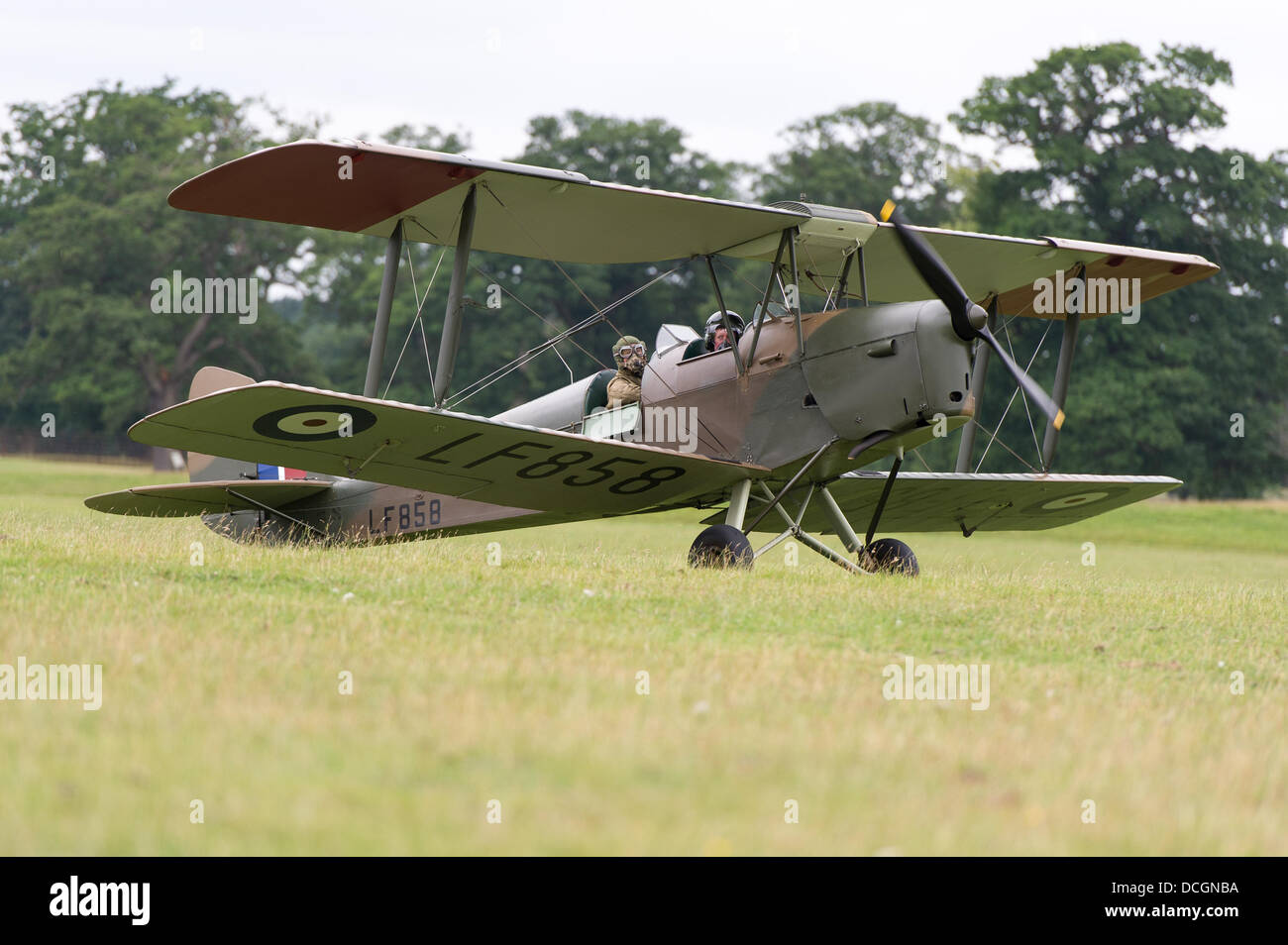 Tiger moth plane hi-res stock photography and images - Alamy