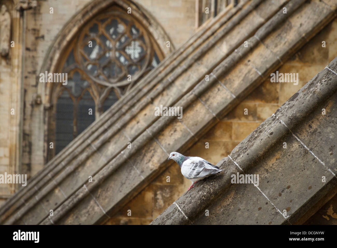 Flying buttress hi-res stock photography and images - Alamy