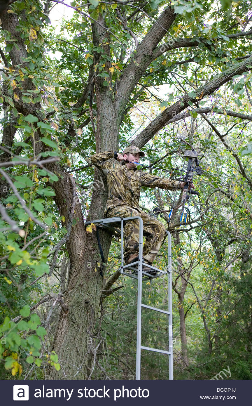 Bow Hunting Deer Hunting Stock Photos & Bow Hunting Deer Hunting Stock ...