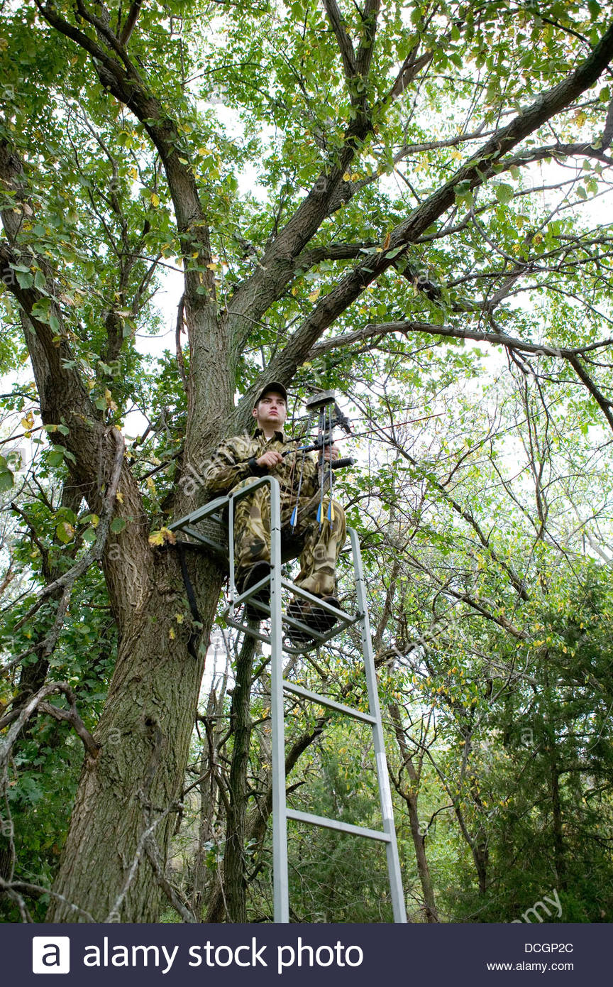 Bowhunter Stock Photos & Bowhunter Stock Images - Alamy