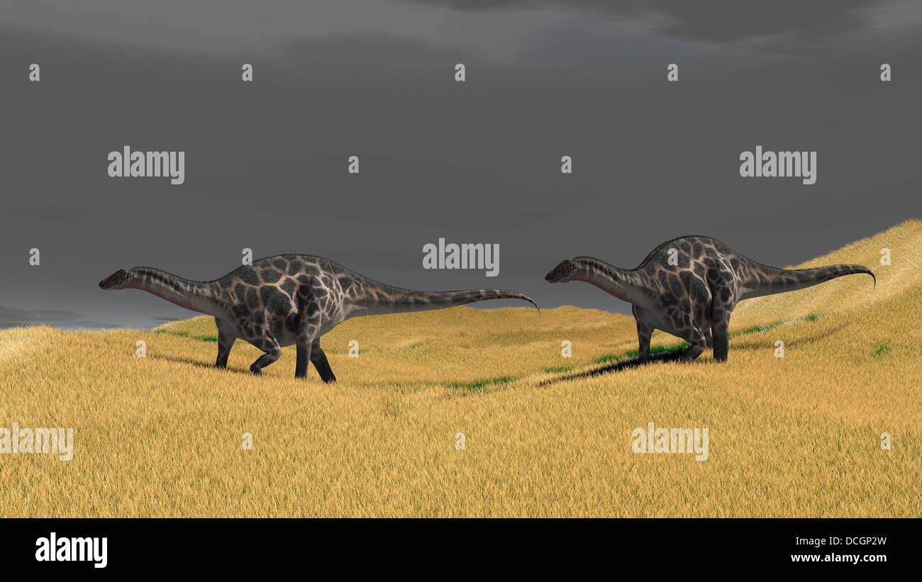 Dicraeosaurus walking across prehistoric grasslands Stock Photo - Alamy