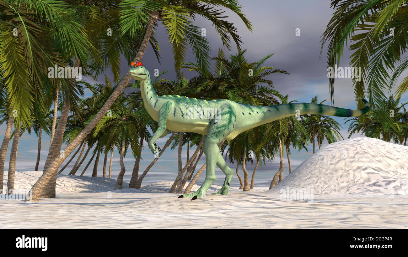 Dilophosaurus hunting in an arid climate Stock Photo - Alamy