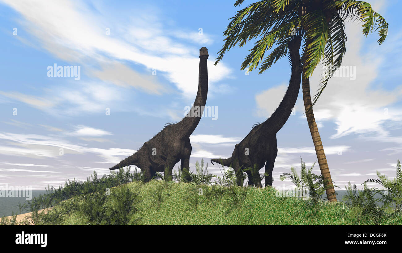 Two large Brachiosaurus grazing on a tall tree Stock Photo - Alamy
