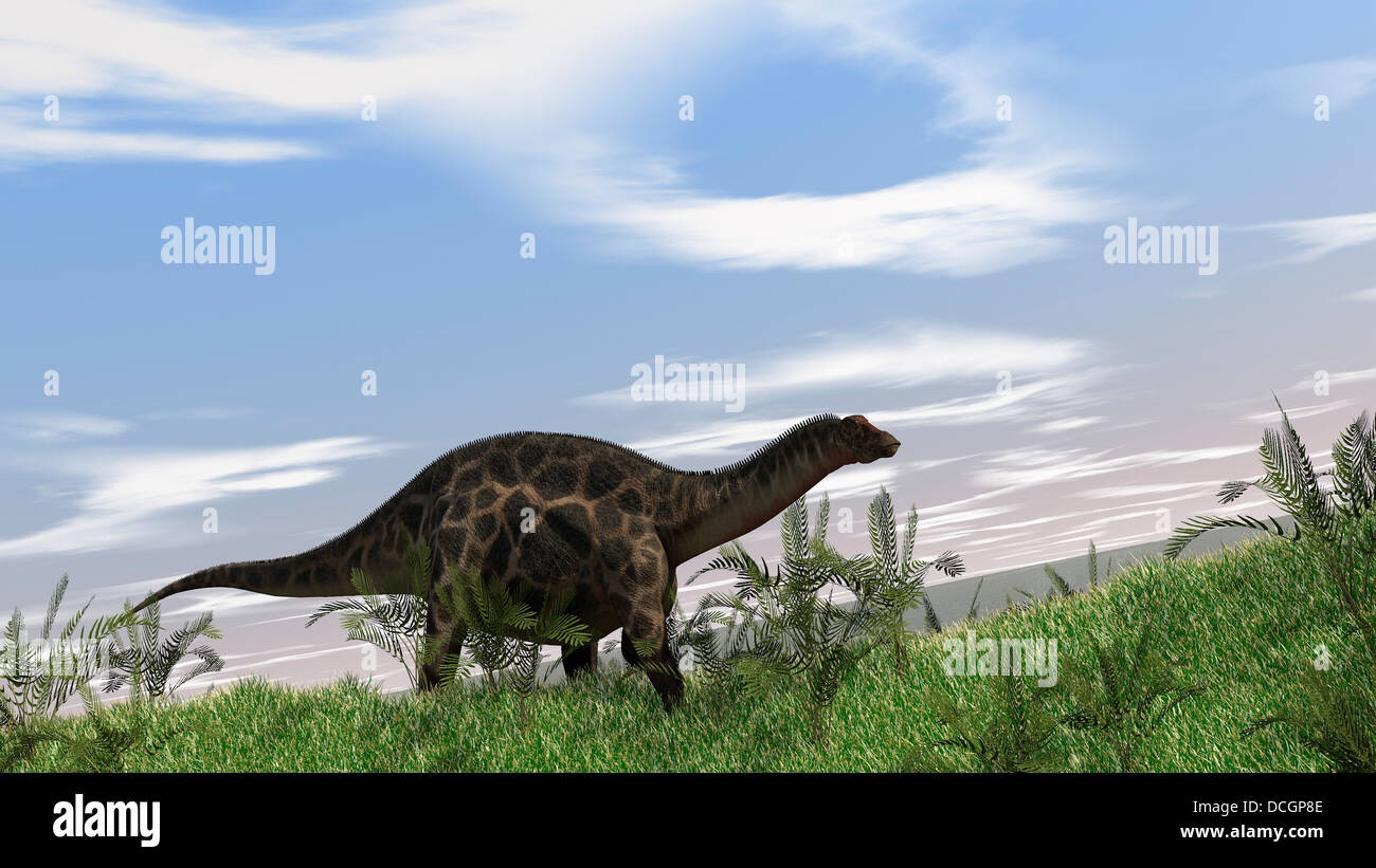 Dicraeosaurus walking across an open field Stock Photo - Alamy