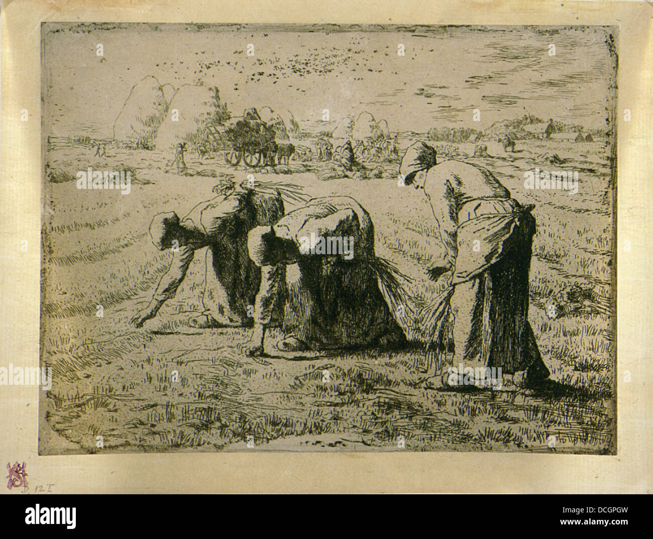 Wood gleaners hi-res stock photography and images - Alamy