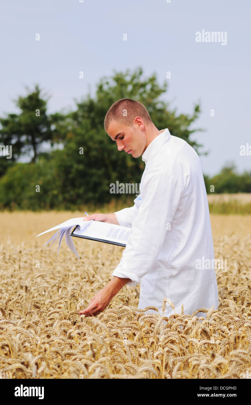 Agriculture scientist in the field checking results of experiment Stock ...