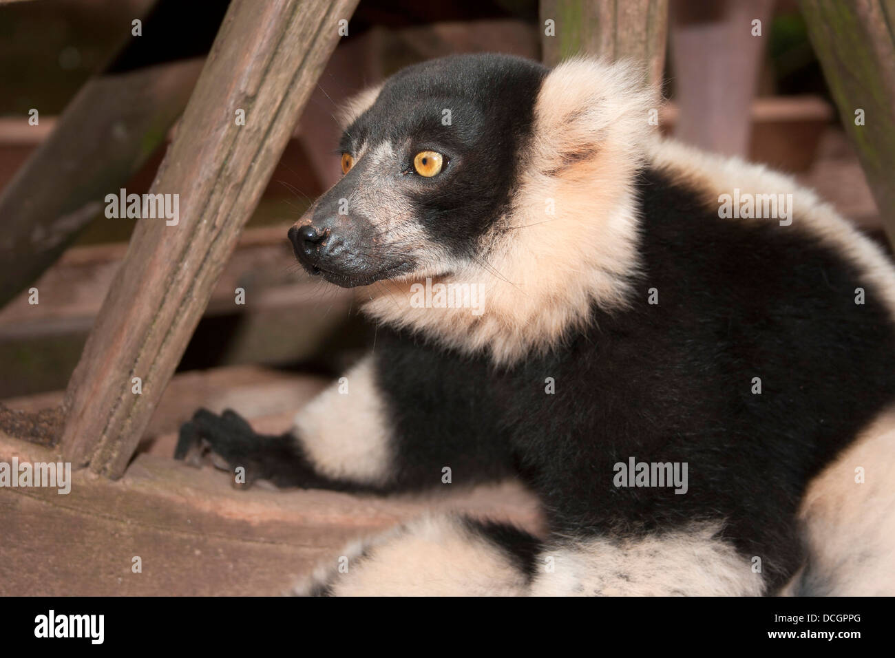 Mournful black white hi-res stock photography and images - Alamy