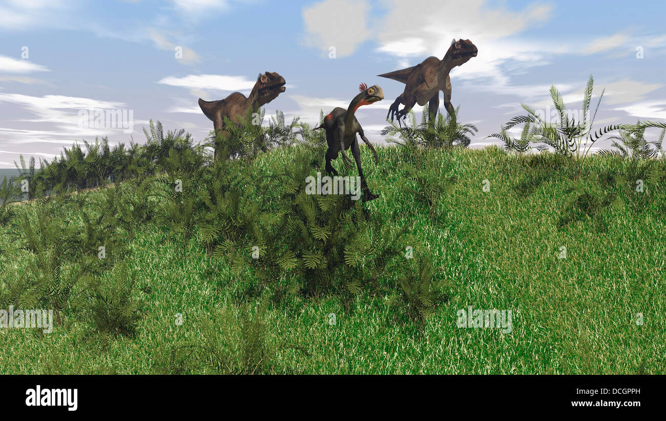 Dinosaur chasing hi-res stock photography and images - Alamy