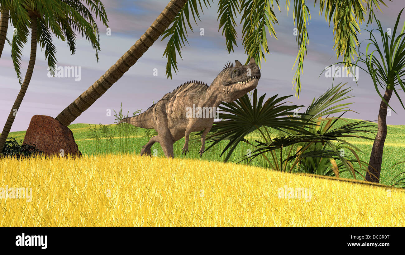 Ceratosaurus hunting in a field Stock Photo - Alamy