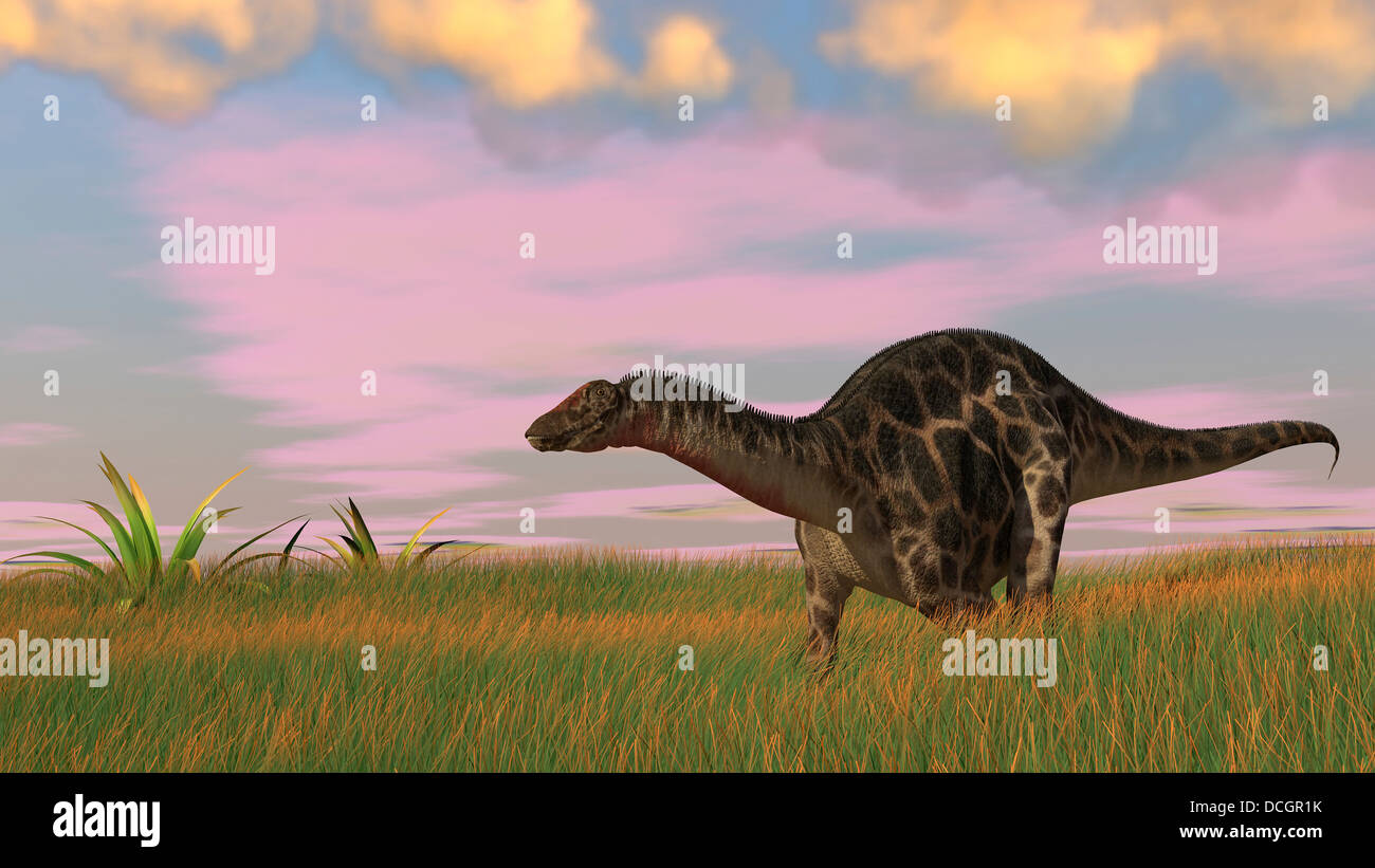 Dicraeosaurus walking across prehistoric grasslands Stock Photo - Alamy