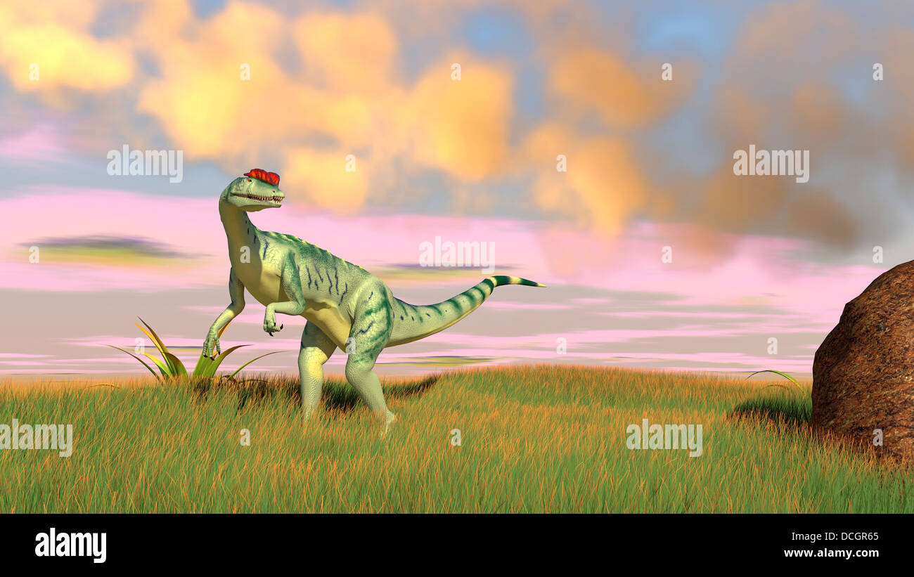 Dilophosaurus hunting in an open field Stock Photo - Alamy