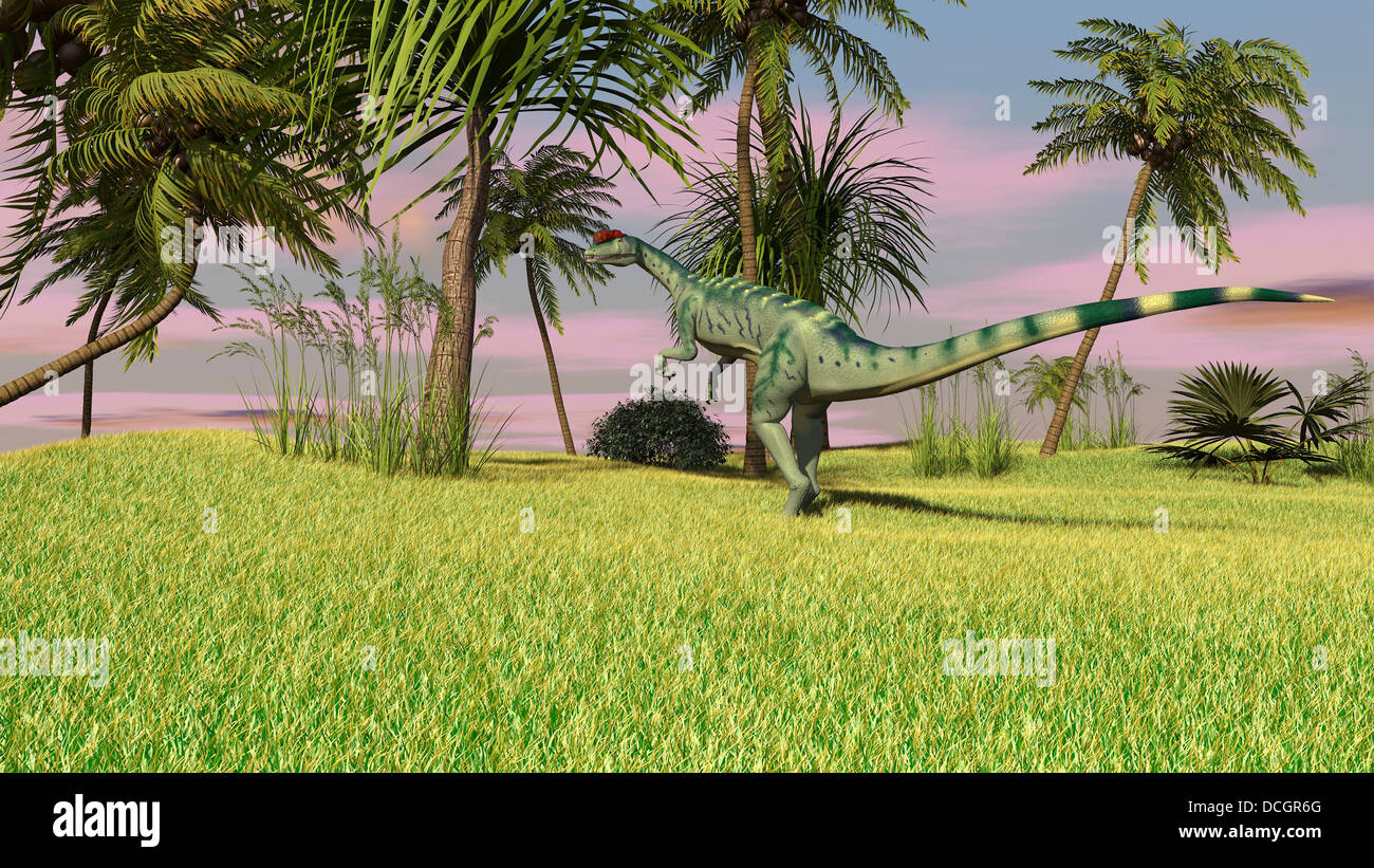 Dilophosaurus hunting in an open field Stock Photo - Alamy