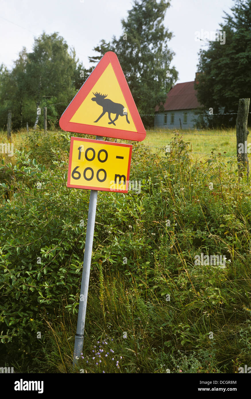 Moose caution sign, Sweden 690815 006 Stock Photo - Alamy