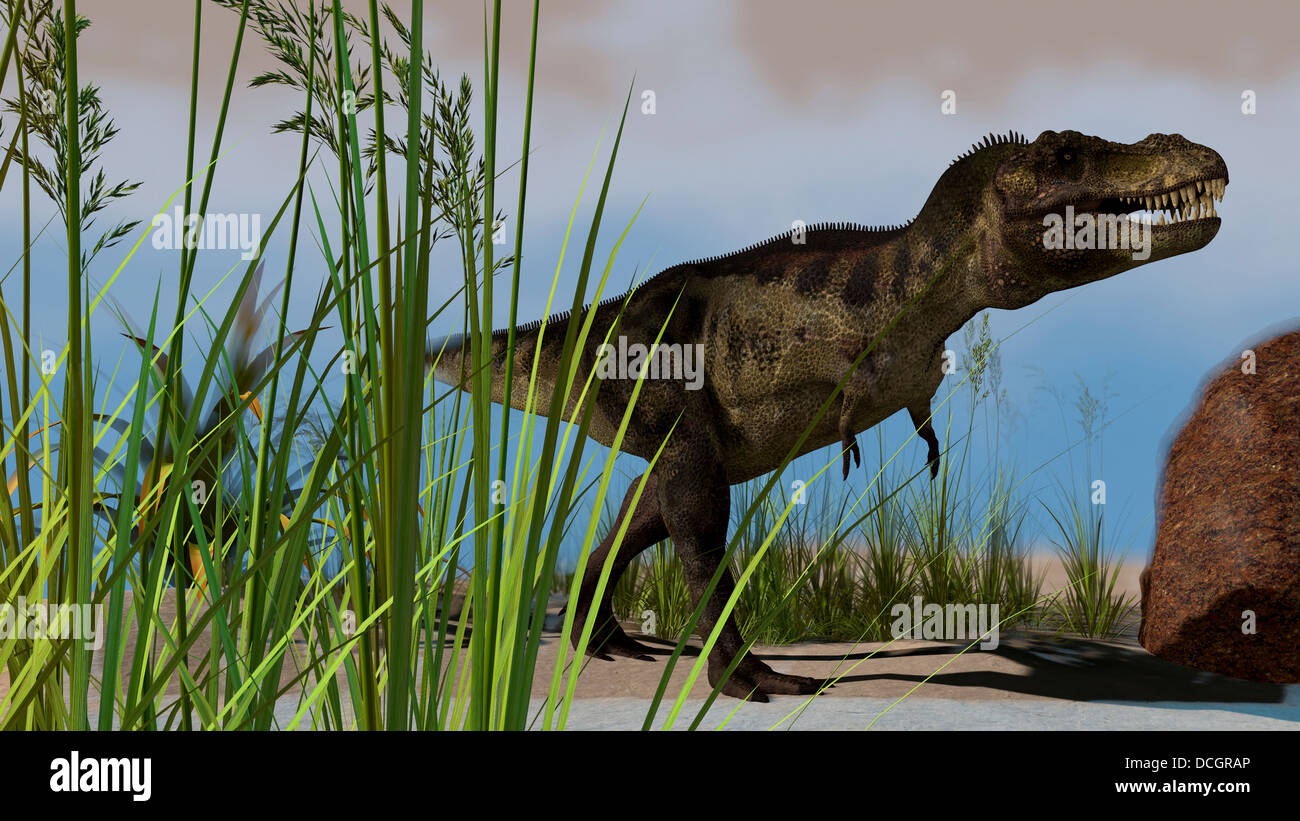 Tyrannosaurus Rex hunting for its next meal Stock Photo - Alamy