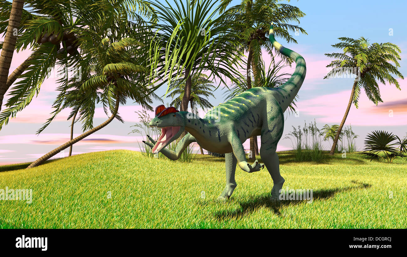 Dilophosaurus hunting in a field for its next meal Stock Photo - Alamy