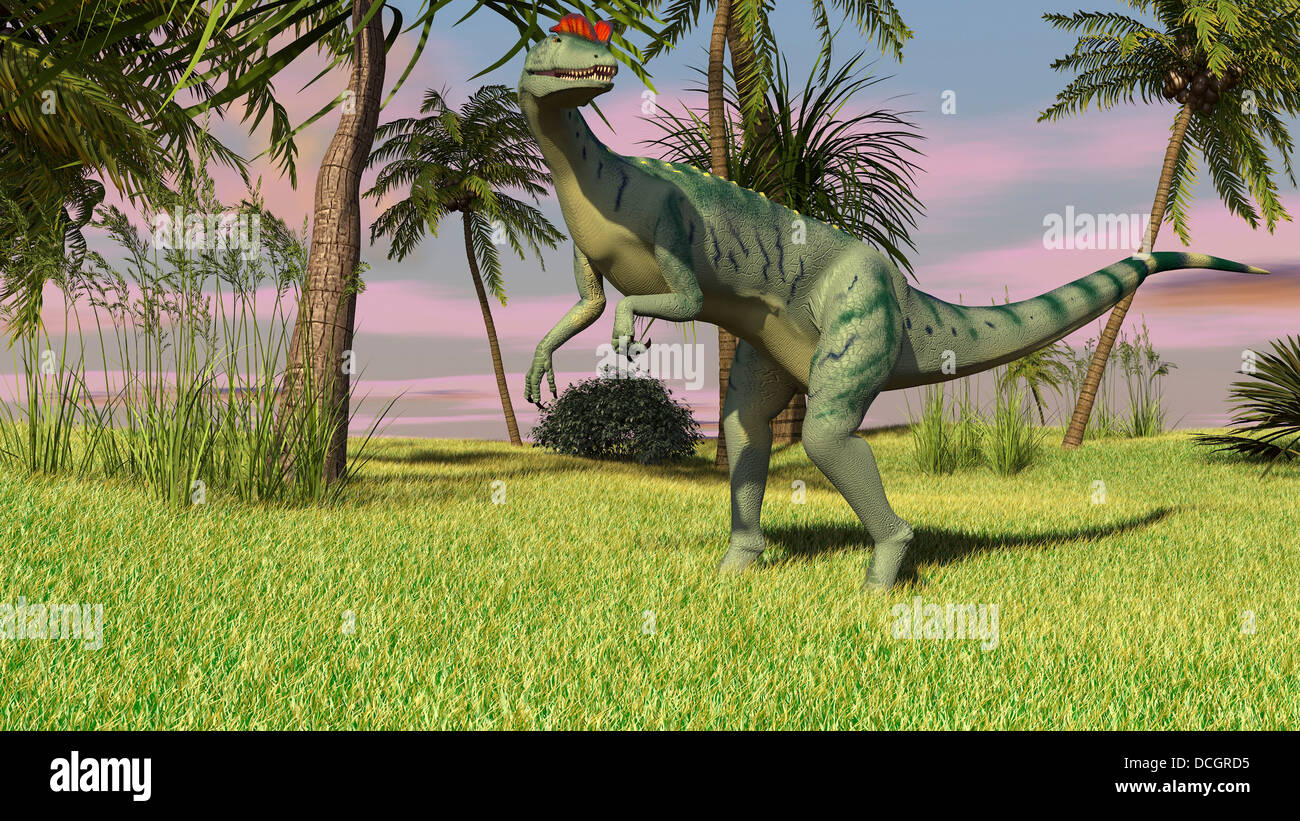 Dilophosaurus hunting in a field for its next meal Stock Photo - Alamy