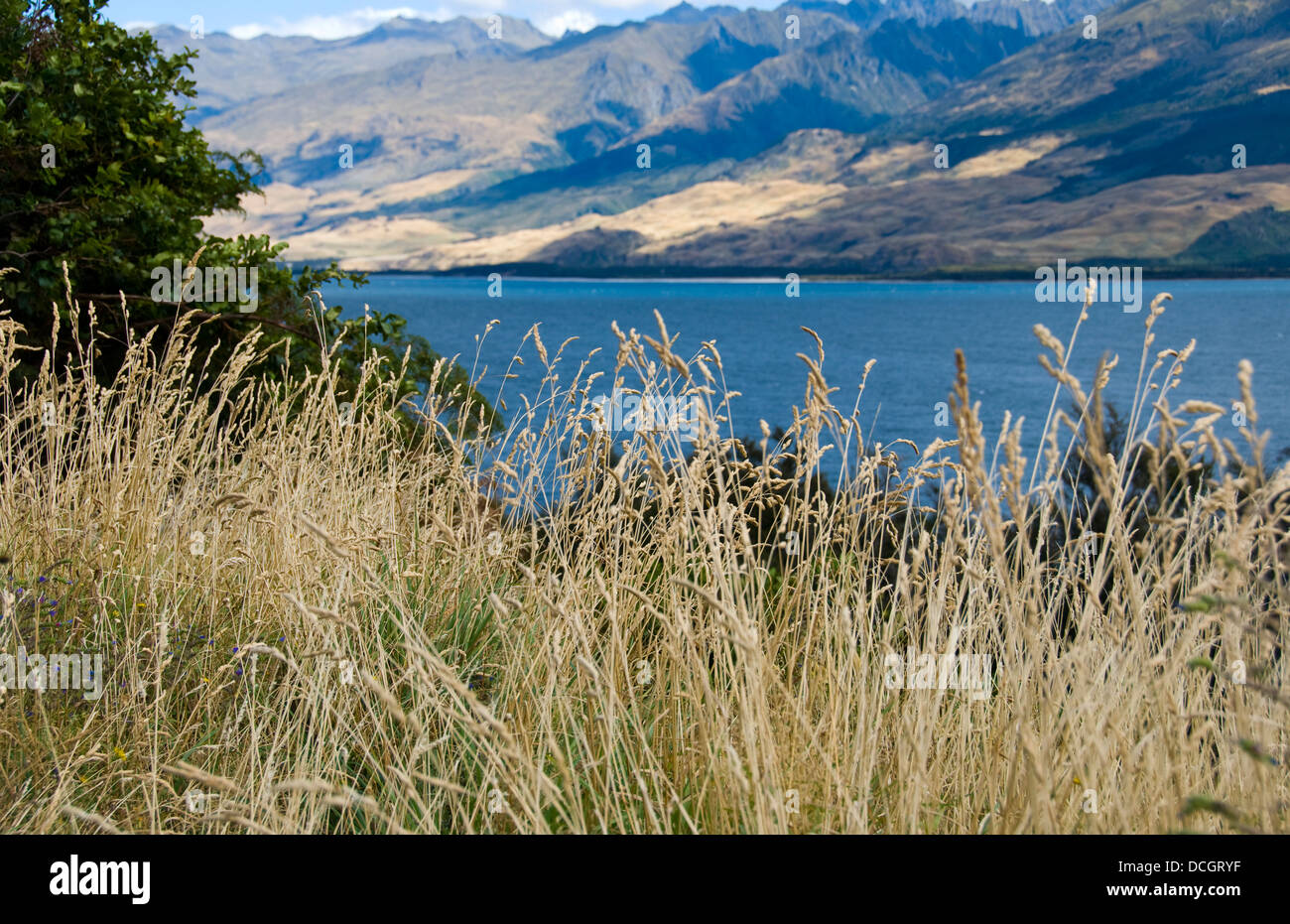New Zealand's Lake Hawea landscape view Stock Photo - Alamy