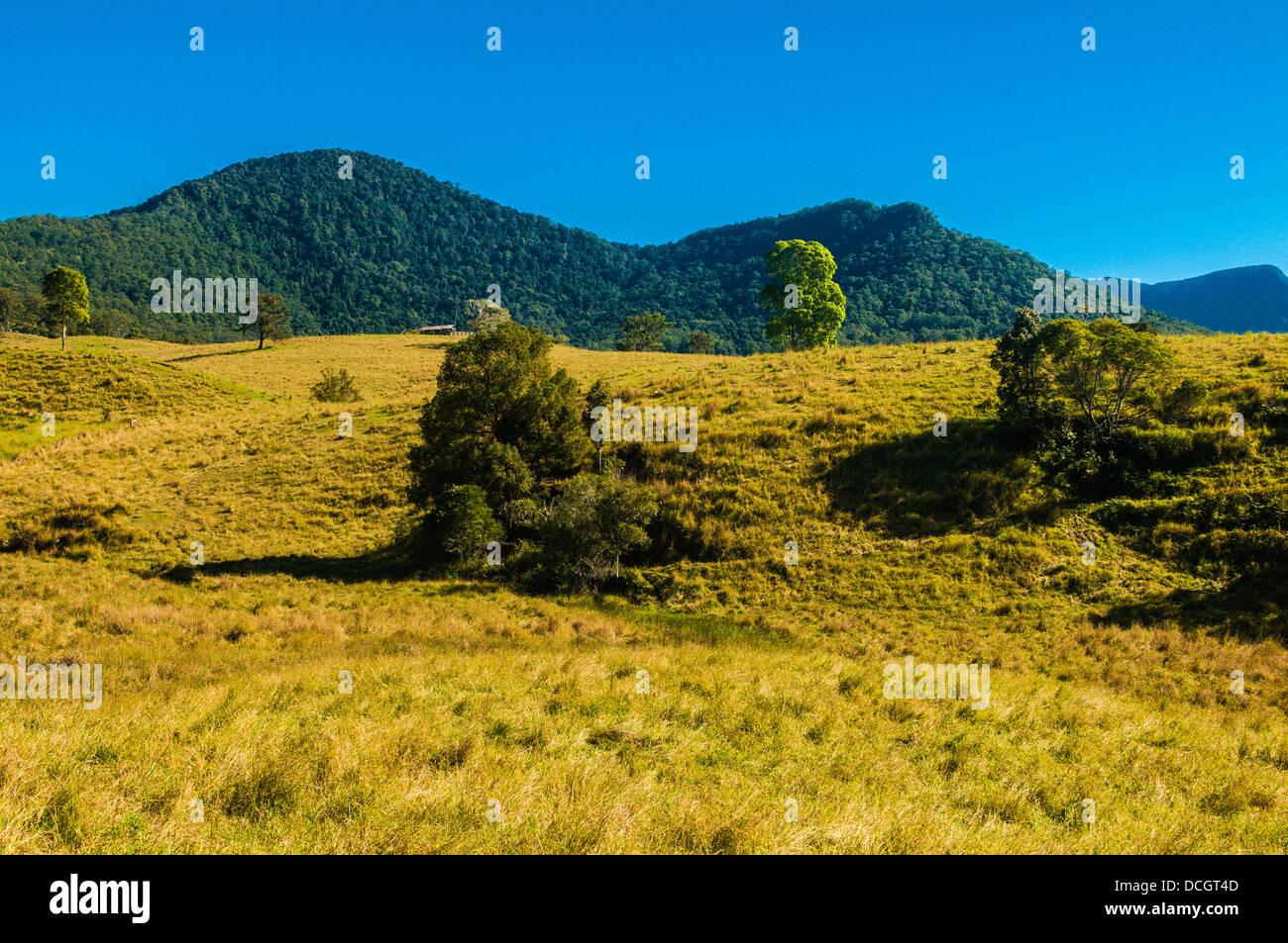 Scenic Rim area of NSW, Australia Stock Photo - Alamy