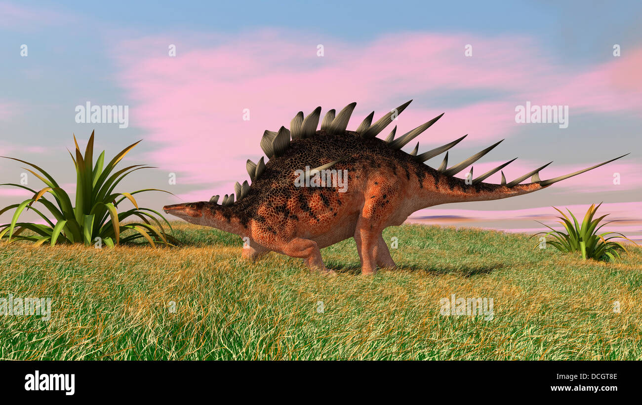 Kentrosaurus walking across prehistoric grasslands Stock Photo - Alamy