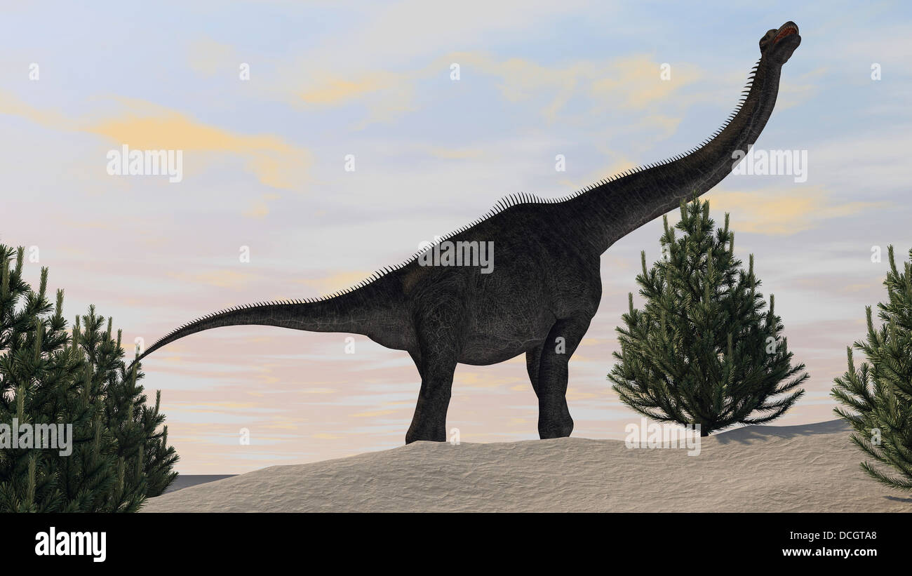 Brachiosaurus grazing hi-res stock photography and images - Alamy