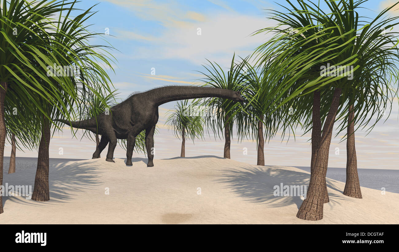 Large Brachiosaurus grazing on trees Stock Photo - Alamy