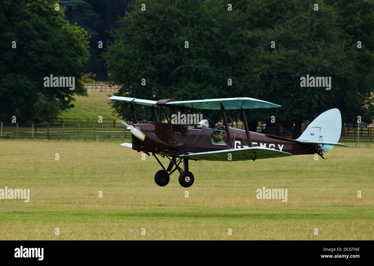Moth landing hi-res stock photography and images - Alamy
