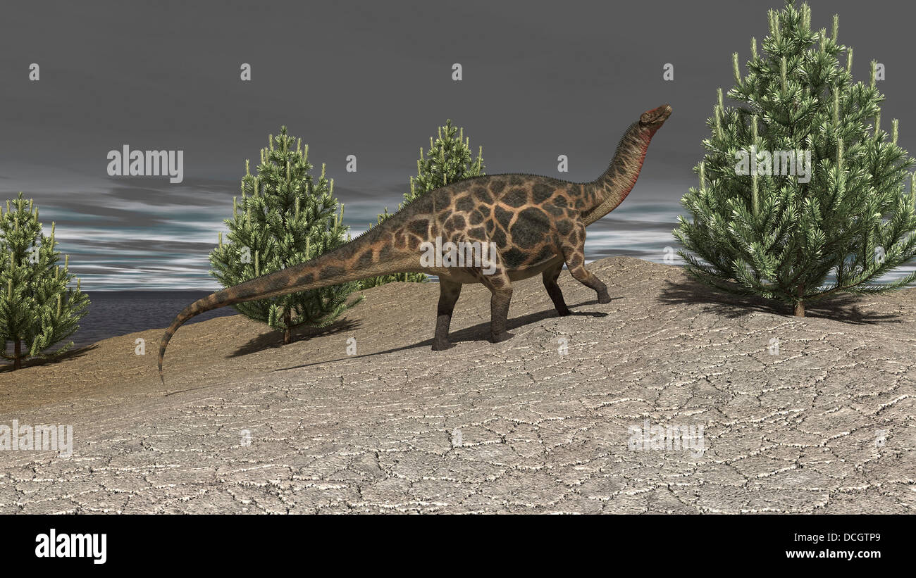 Dicraeosaurus walking amongst pine trees Stock Photo - Alamy