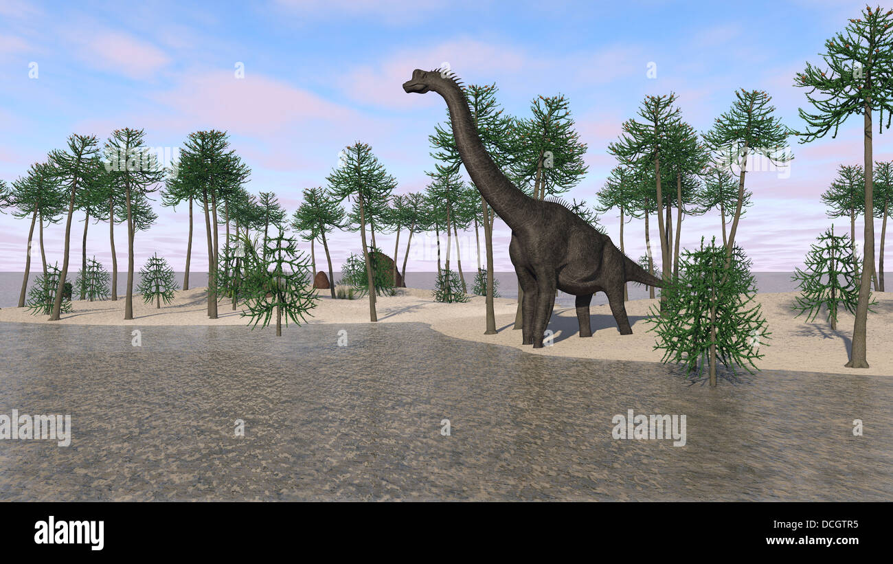 Large Brachiosaurus standing at the water's edge Stock Photo - Alamy