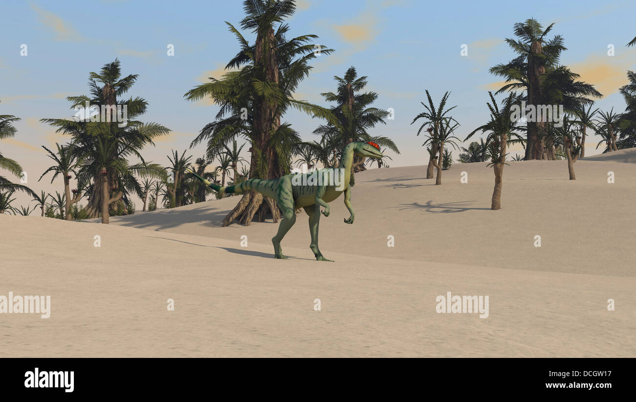 Dilophosaurus in a tropical environment Stock Photo - Alamy