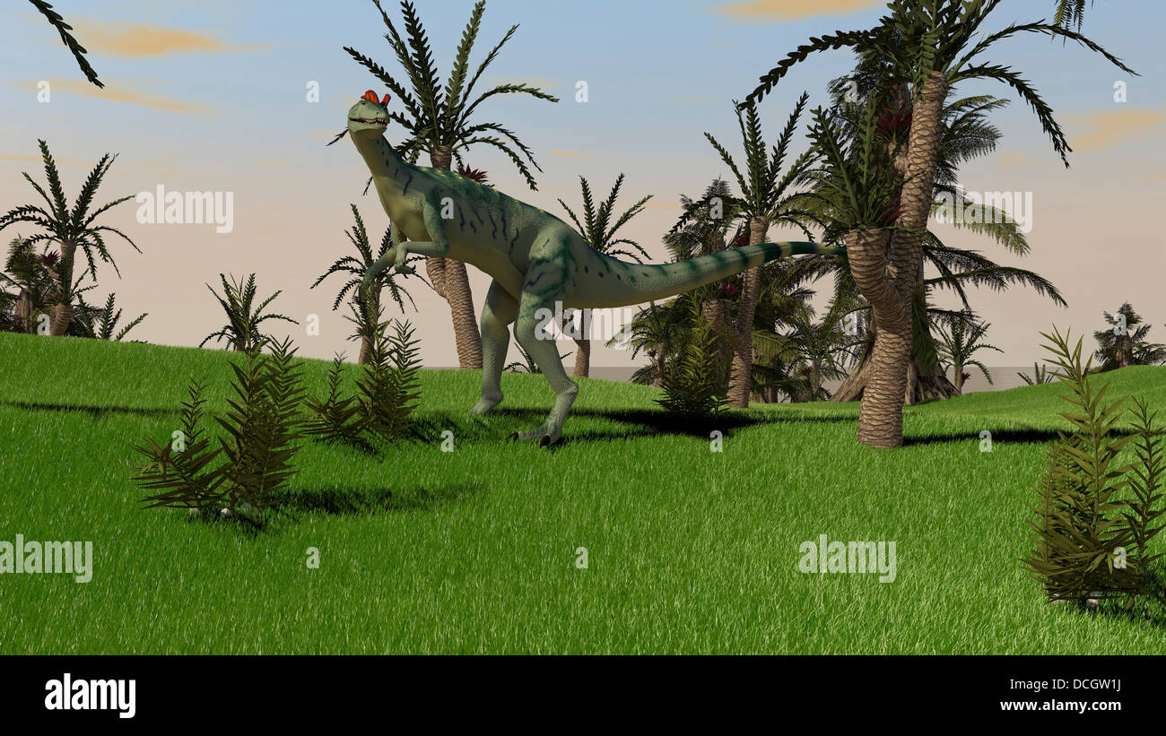 Dilophosaurus hunting for its next meal Stock Photo - Alamy