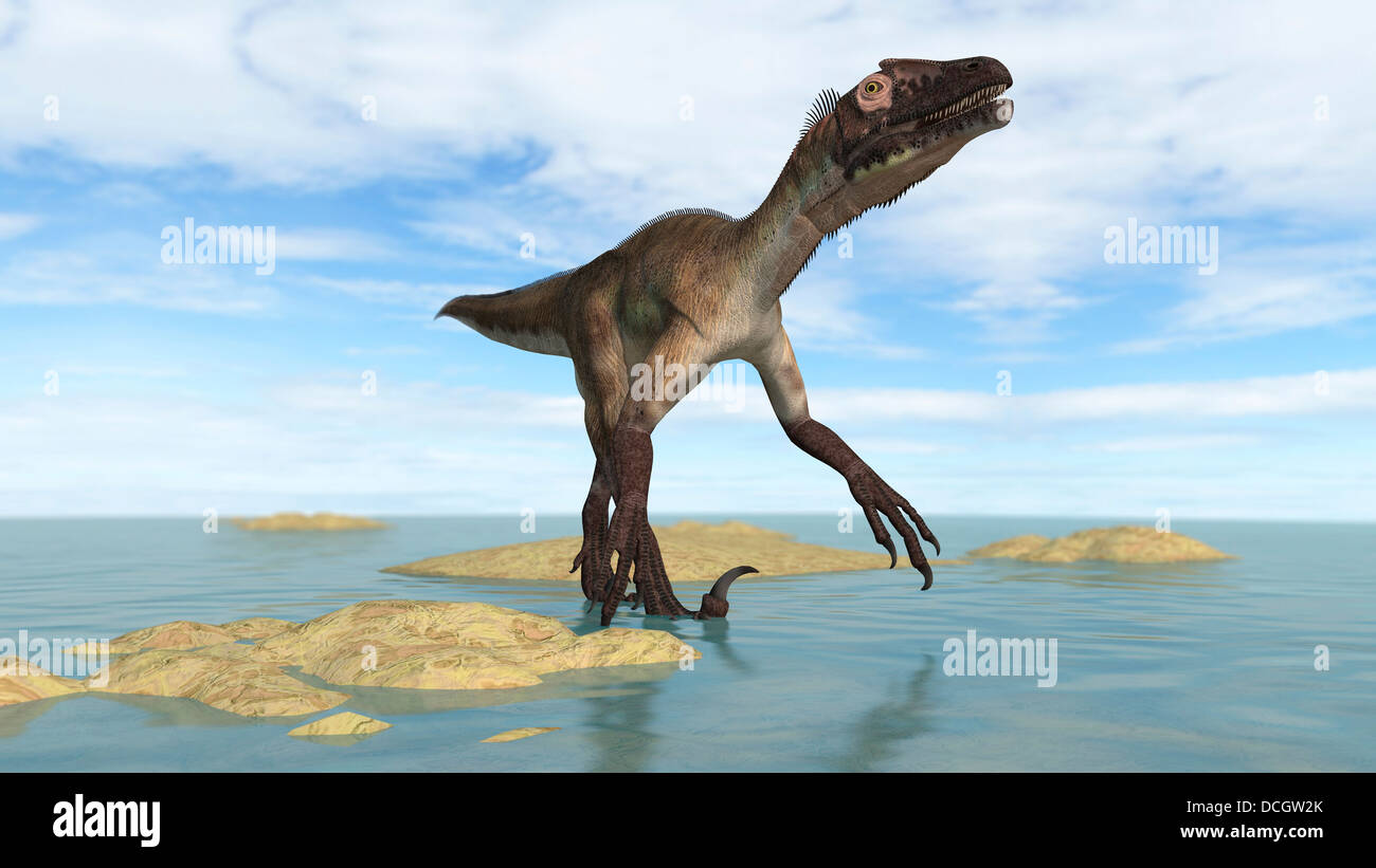 Utahraptor claw hi-res stock photography and images - Alamy