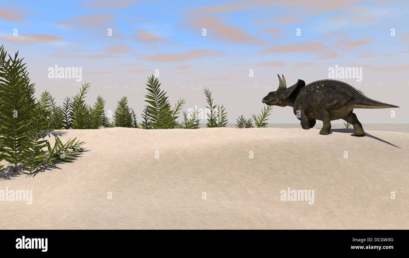 Triceratops roaming a prehistoric landscape Stock Photo - Alamy
