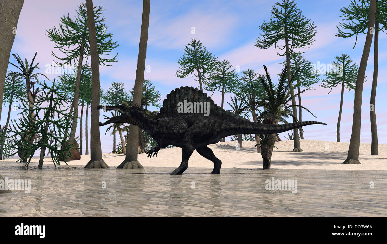 Spinosaurus hunting for its next meal in shallow waters Stock Photo - Alamy