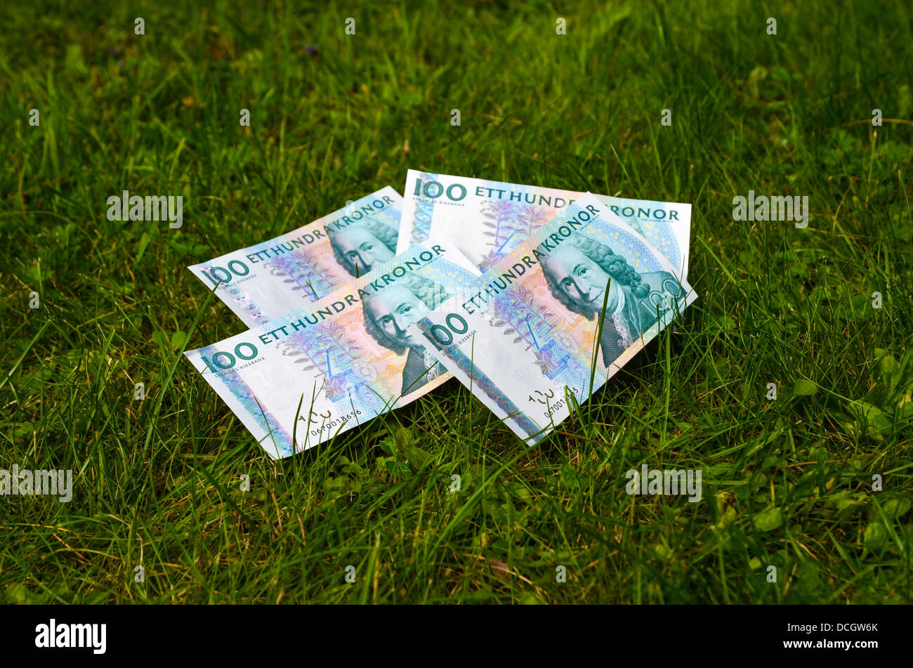 Swedish bank notes at lawn Stock Photo - Alamy