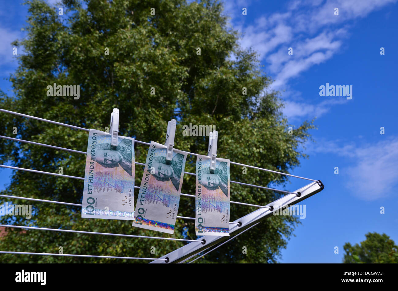 Hanging washed swedish bank notes Stock Photo - Alamy