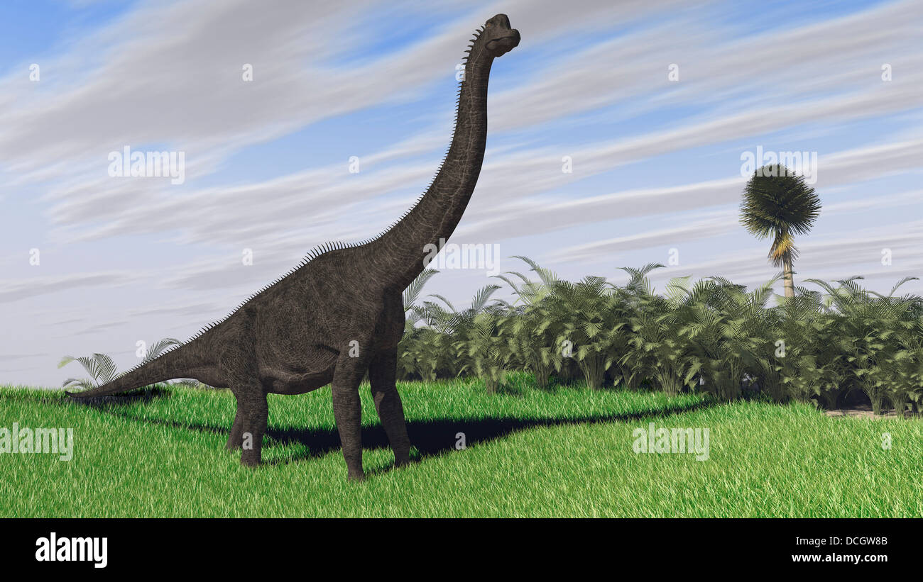 Large Brachiosaurus in an open field Stock Photo - Alamy
