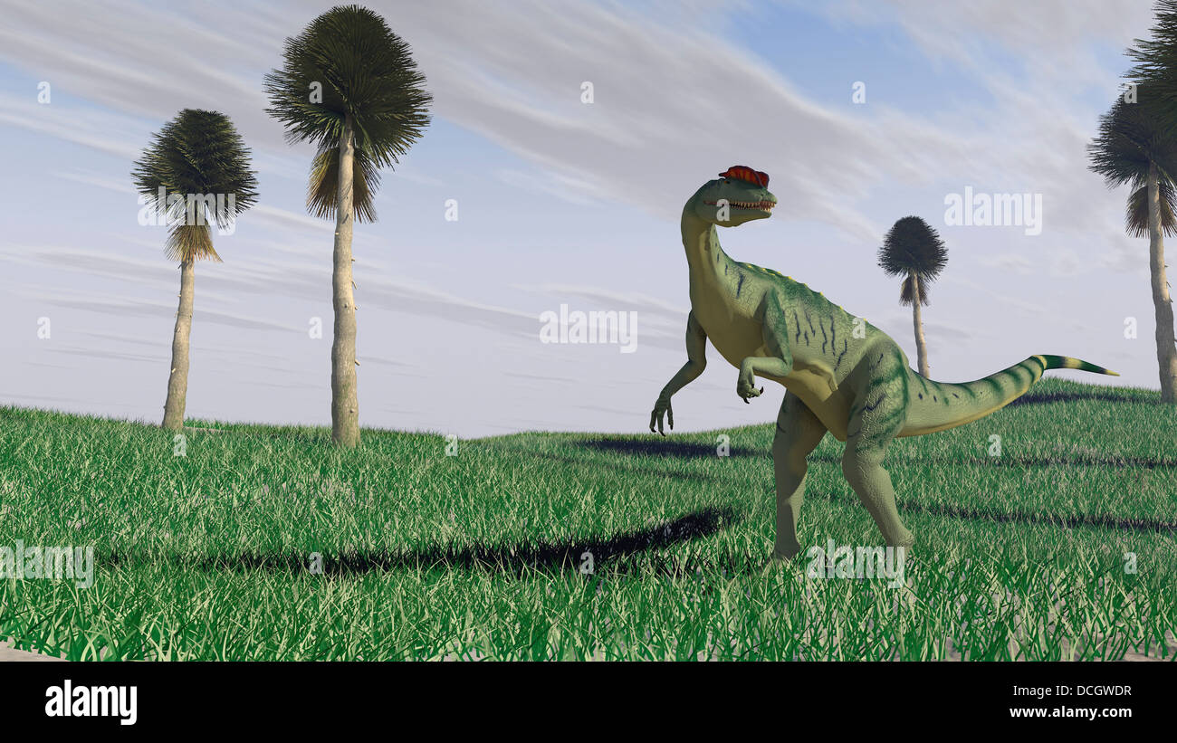 Dilophosaurus hunting for its next meal in an open field Stock Photo ...