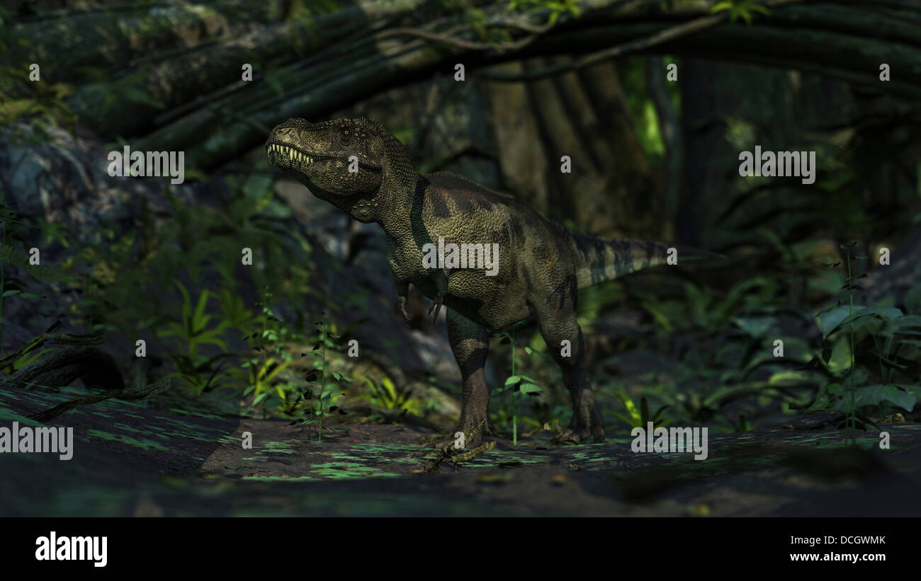 Tyrannosaurus rex in woods hi-res stock photography and images - Alamy