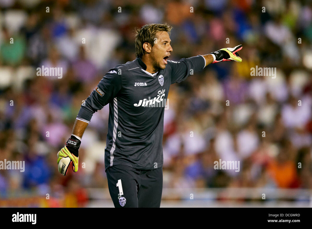 Valencia, Spain. 17th Aug, 2013. Goalkeeper Diego Alves of Valencia CF ...