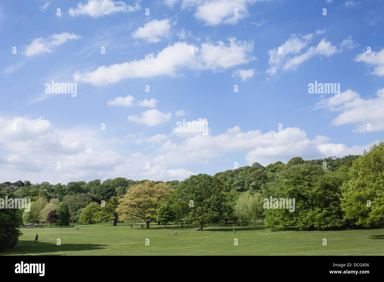 Landscape photo of Bramcote Park, Nottingham Stock Photo - Alamy