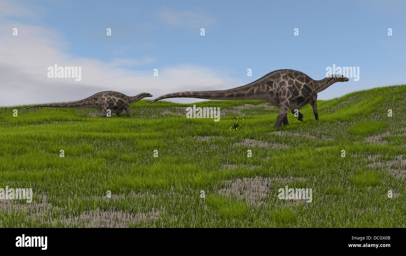 Two Dicraeosaurus dinosaurs walking across a grassy field Stock Photo ...