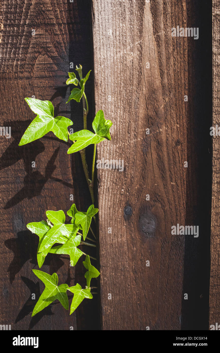 Fence panels hi-res stock photography and images - Alamy