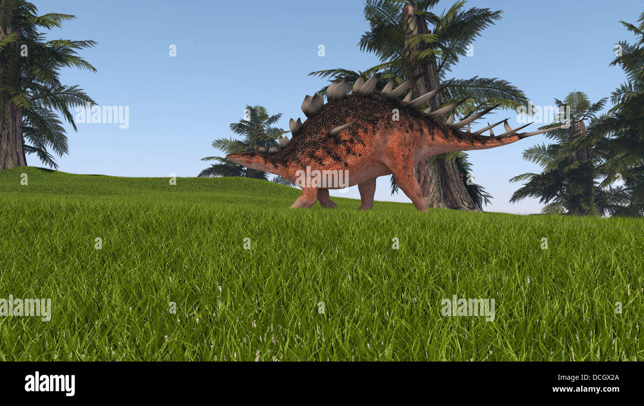 Kentrosaurus walking across a grassy field Stock Photo - Alamy