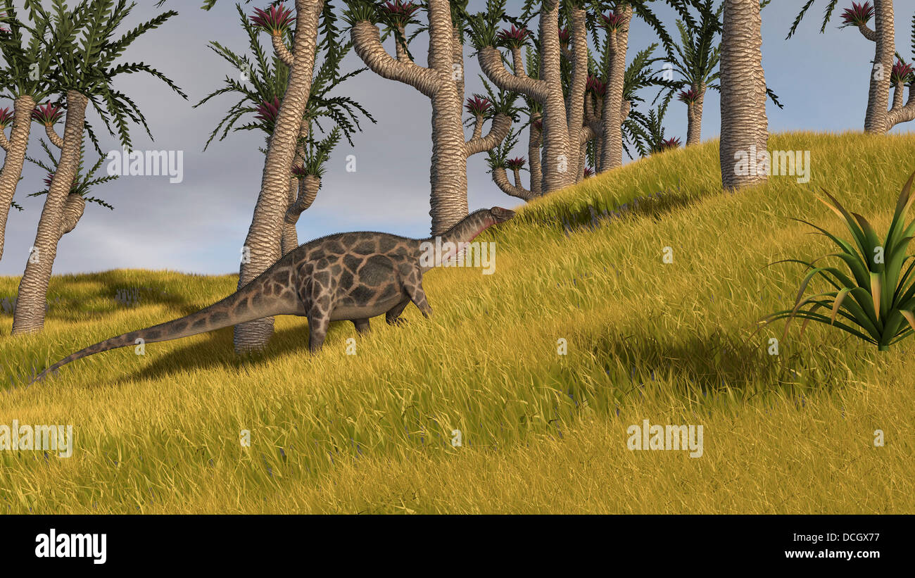 Dicraeosaurus in a savanna landscape Stock Photo - Alamy