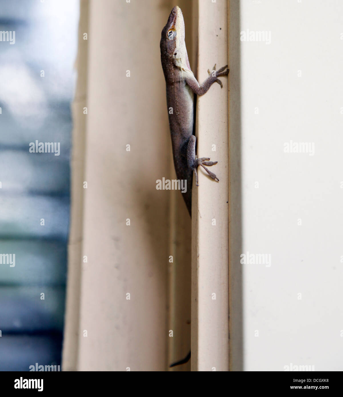 Transform window hi-res stock photography and images - Alamy