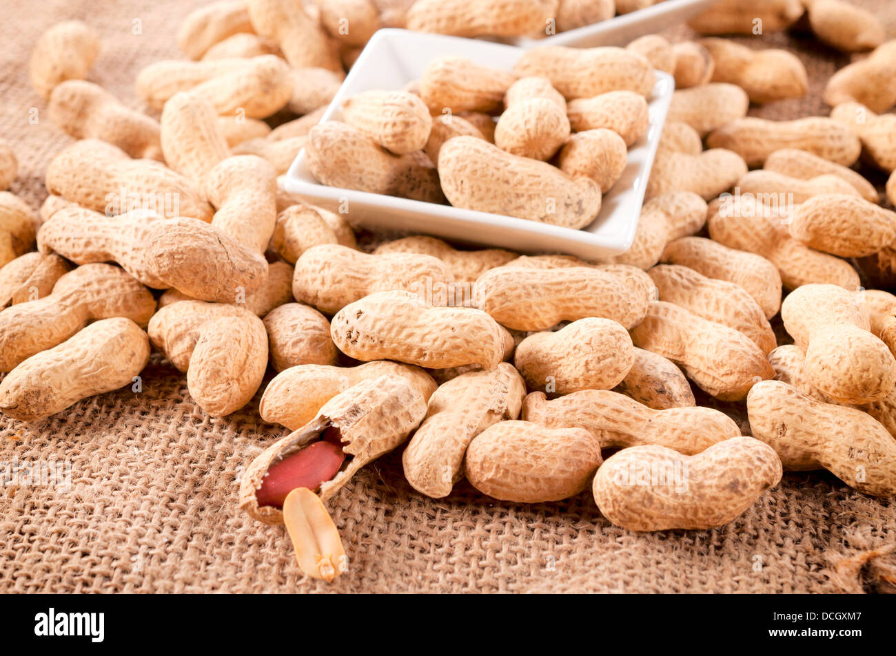 Large group of the peanuts in shells Stock Photo - Alamy