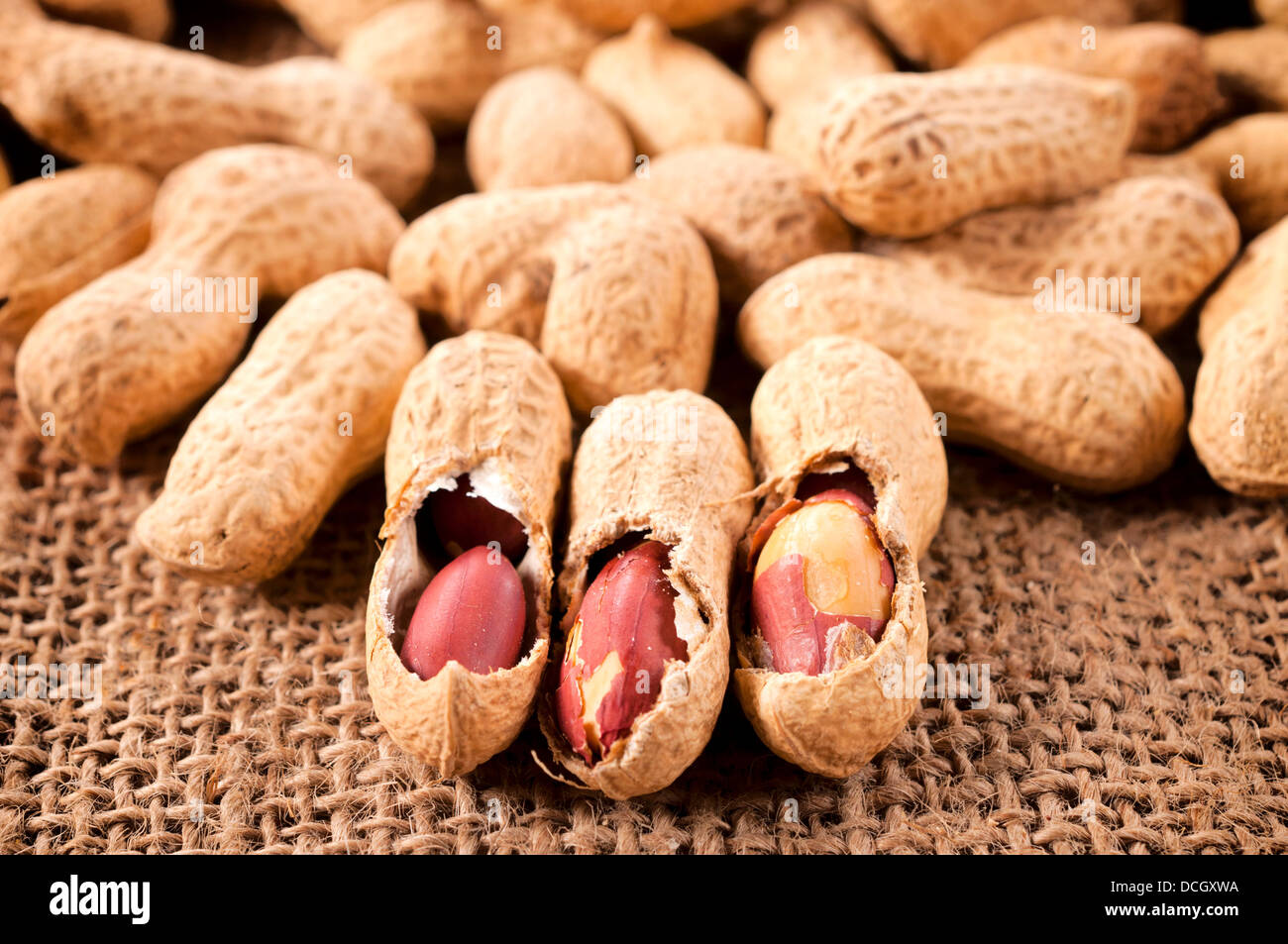 Three peanuts in closeup hi-res stock photography and images - Alamy