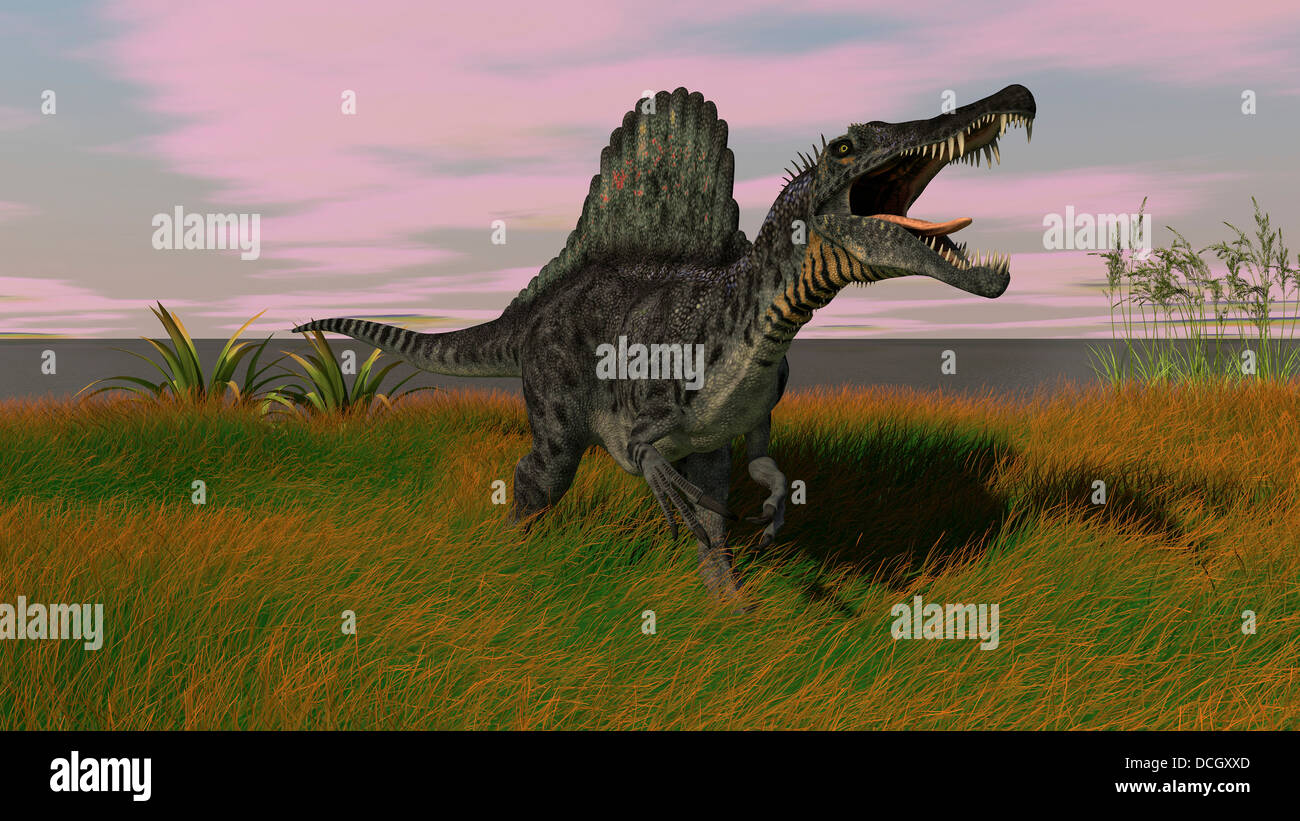 Walking Spinosaurus Dinosaur High Resolution Stock Photography and ...
