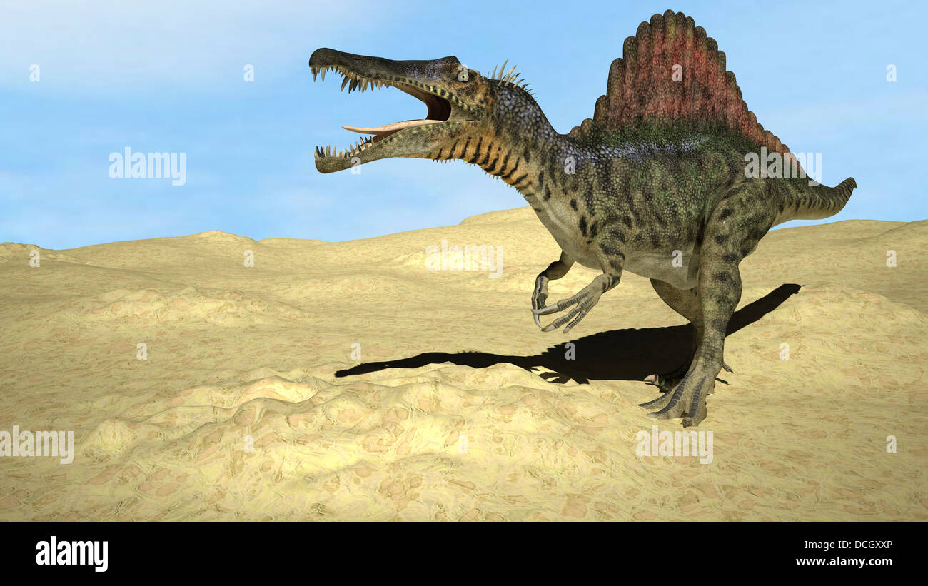 Walking spinosaurus dinosaur hi-res stock photography and images - Alamy